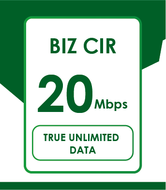 Biz CIR Connectivity