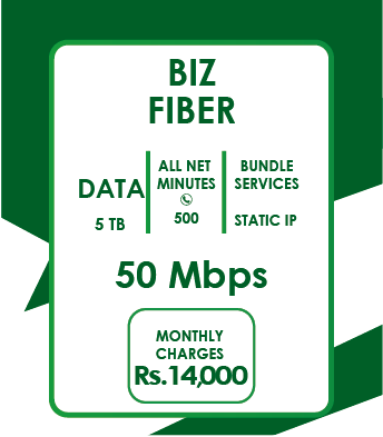 Biz Fiber Premium Internet